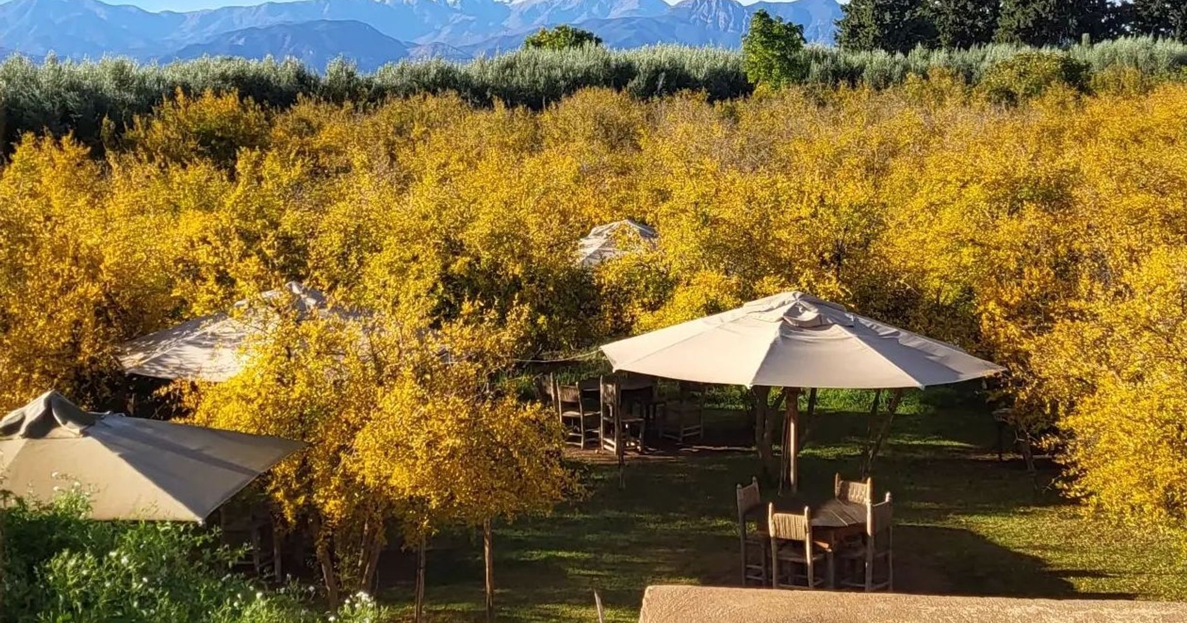 Jnane Tihihit, farm life in Marrakech | Discover on Made in City ...